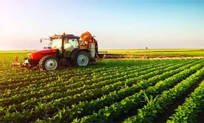 Agro-Industrial Processing: From Consumption To Production – Part 3 ...