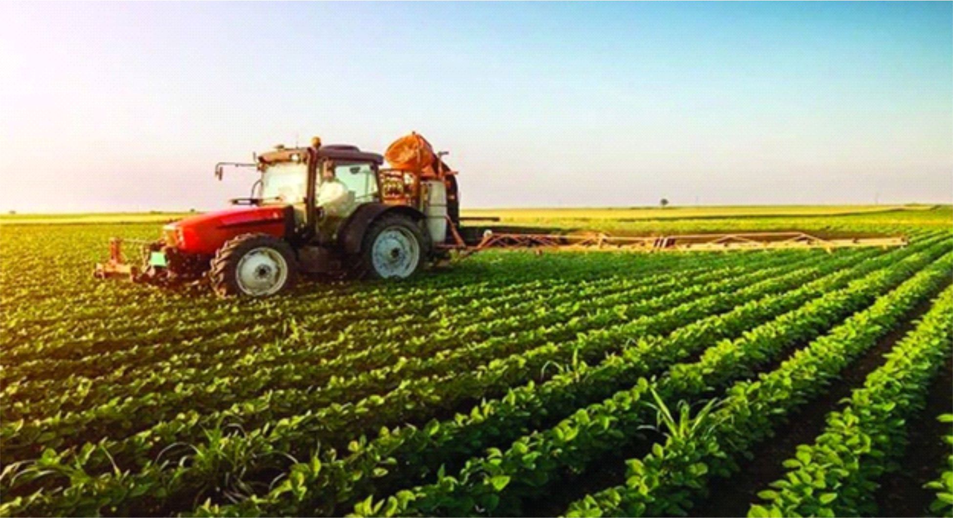 Agro-Industrial Processing: From Consumption To Production – Part 3 ...